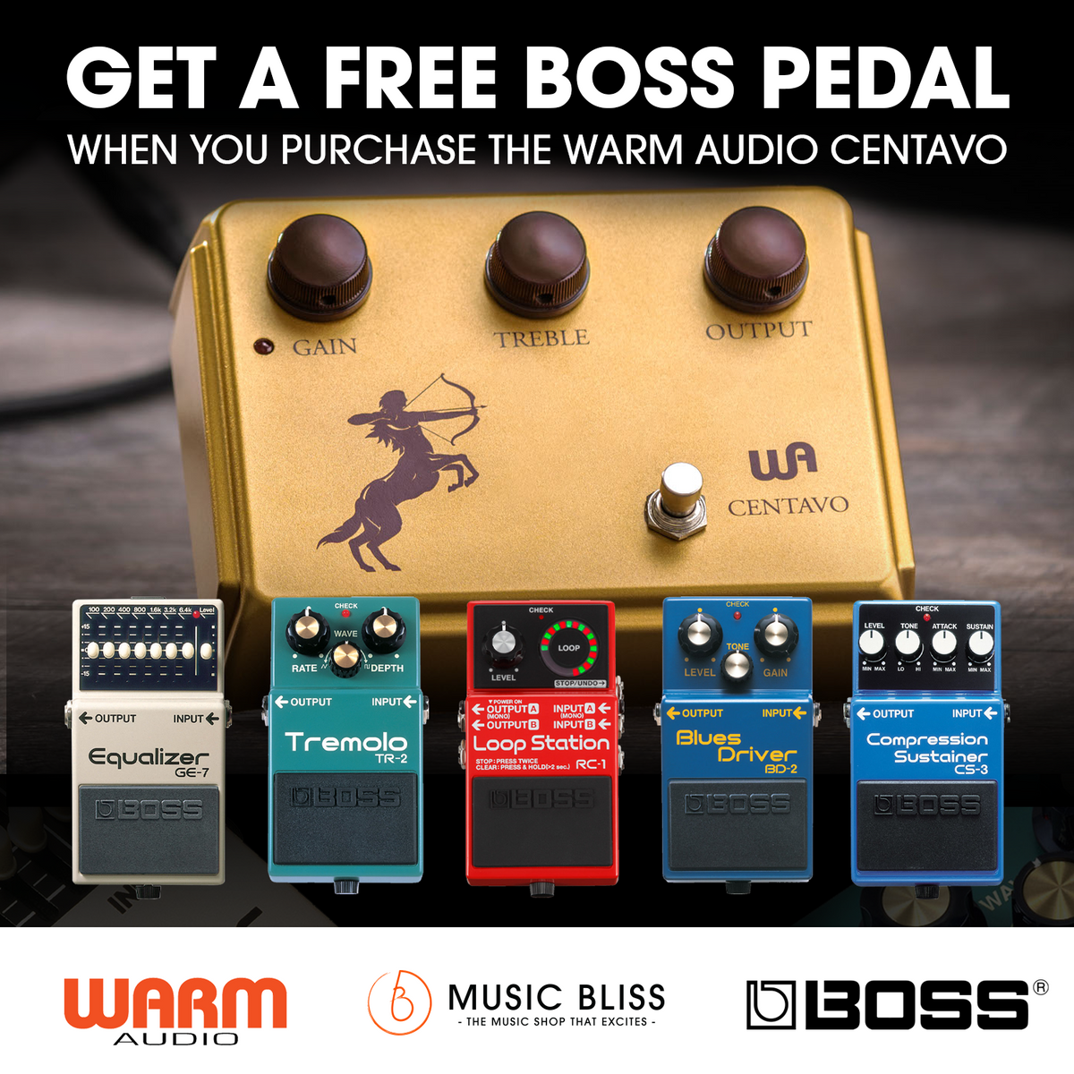 Warm Audio Centavo Professional Overdrive Pedal (Based off the ...