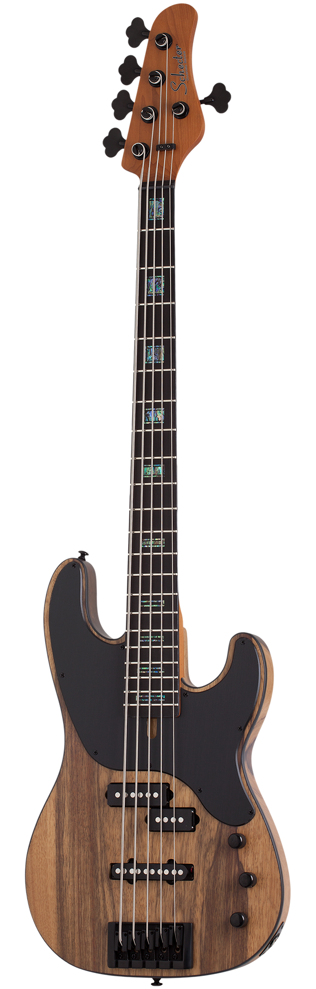 Schecter Model-T 5 Exotic Electric Bass Guitar - Black Limba | Music ...