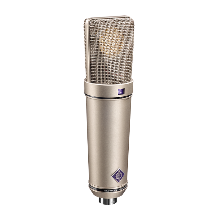 Neumann U 89i Large-diaphragm Condenser Microphone - Nickel | Music ...