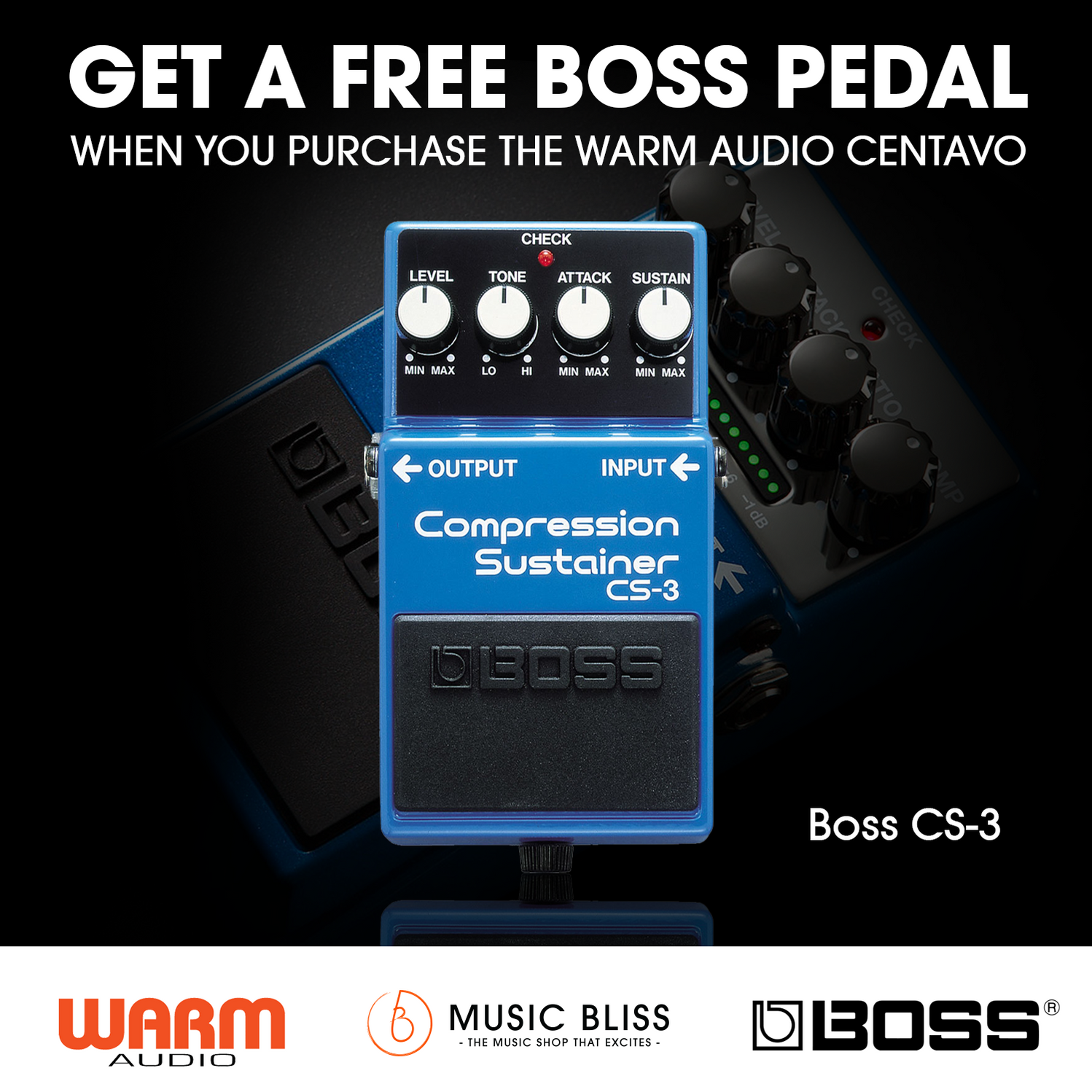 Warm Audio Centavo Professional Overdrive Pedal (Based off the ...