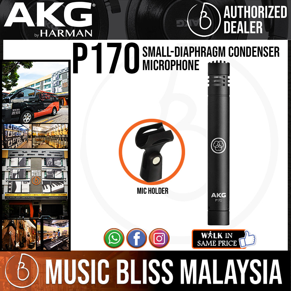 AKG P170 Small-diaphragm Condenser Microphone (P-170 / P 170) | Music ...