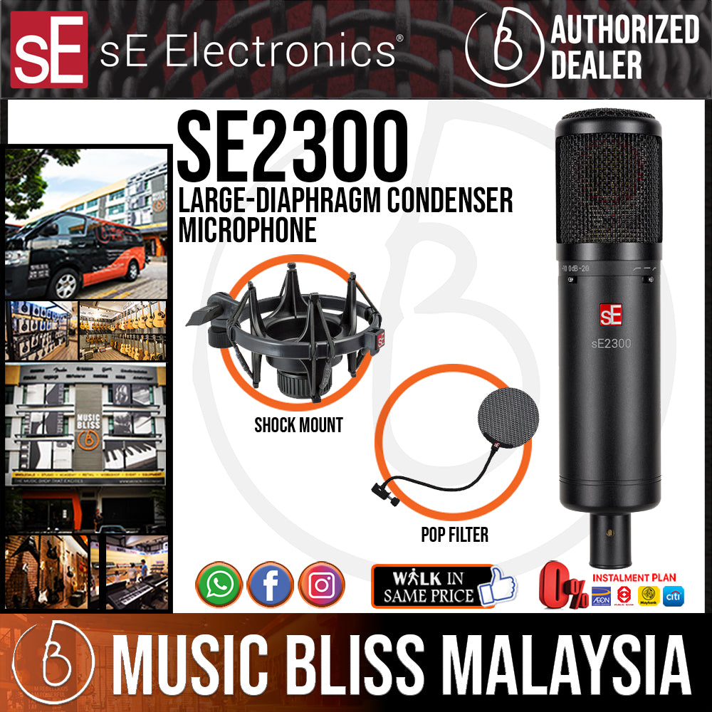 SE Electronics sE2300 Large-diaphragm Condenser Microphone | Music ...
